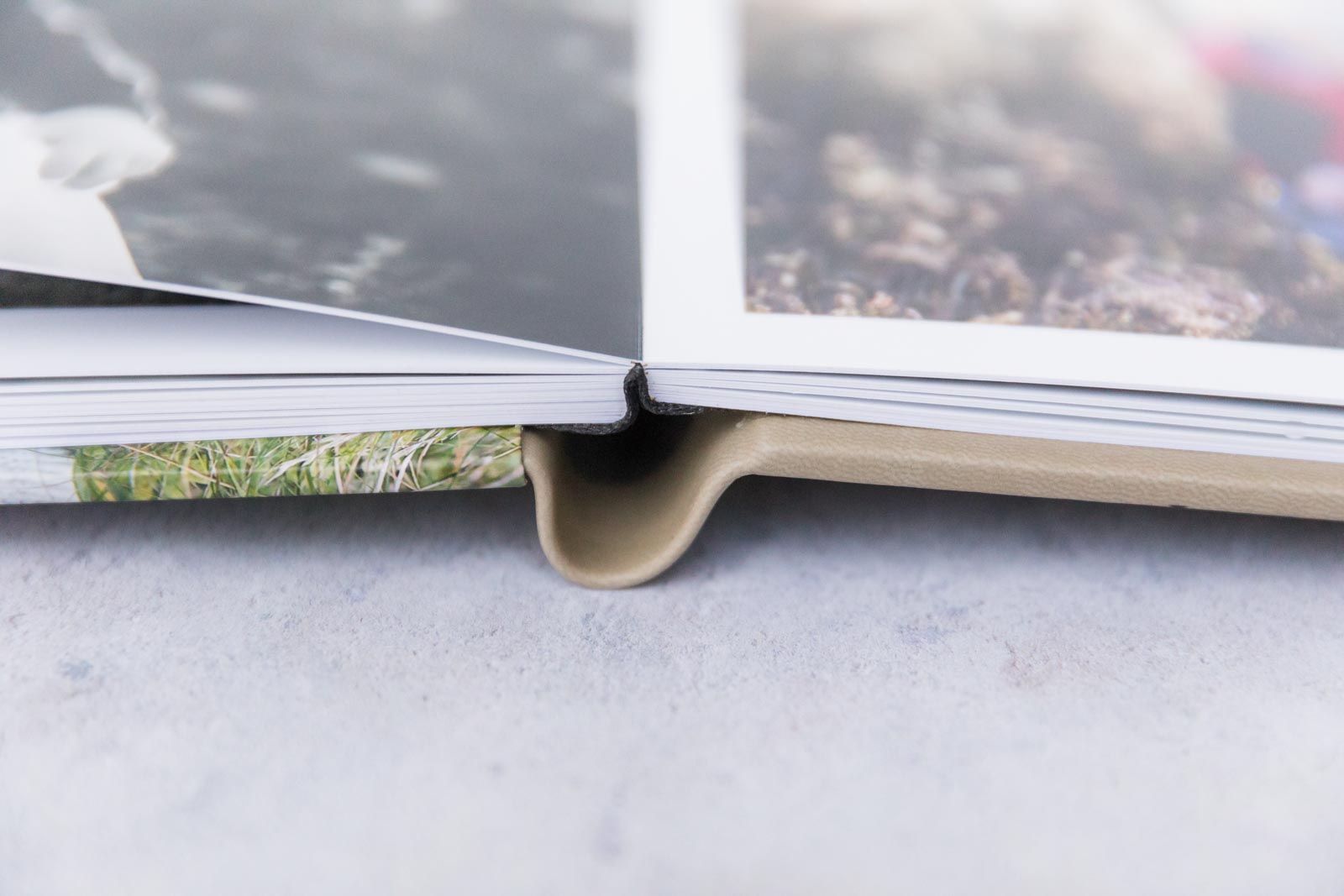 The GoBook Album - First Light Photography